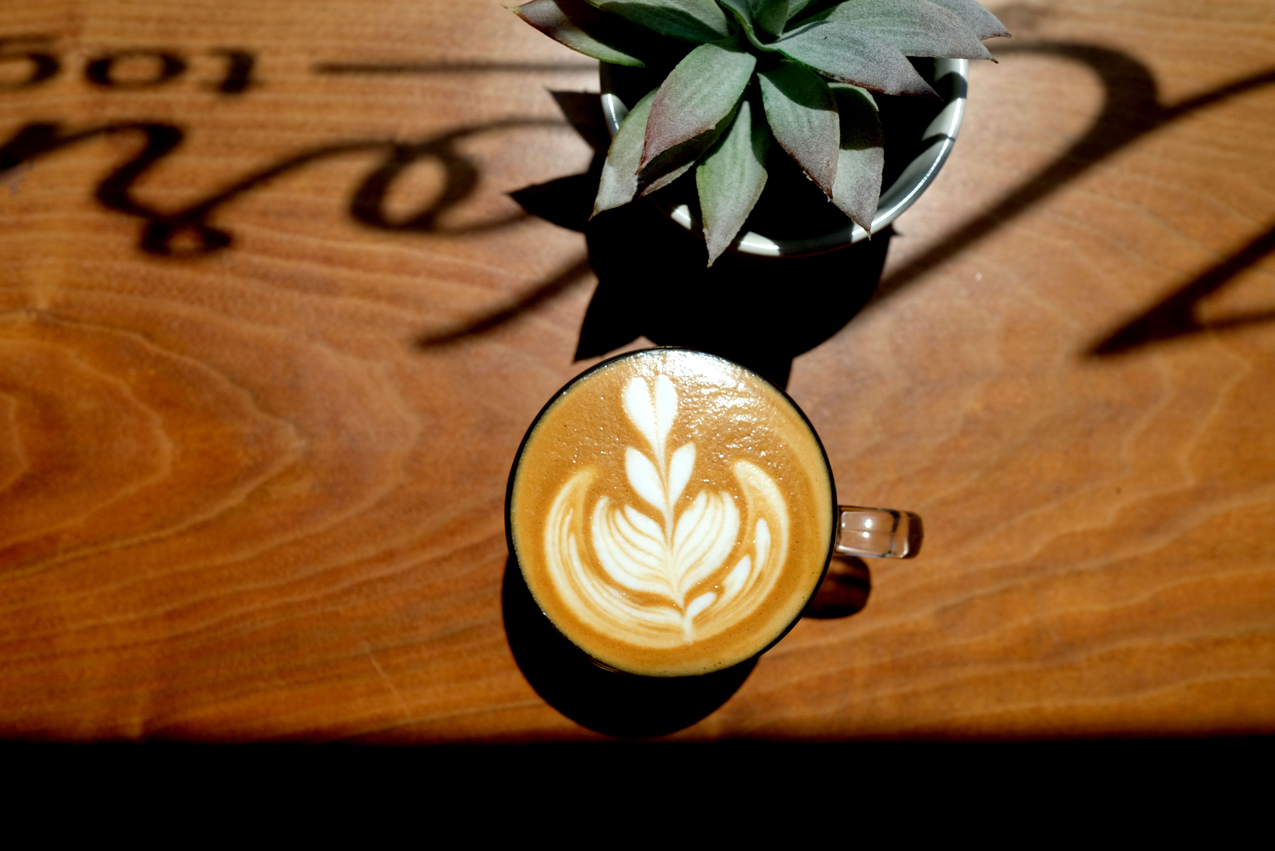 Is It Bad to Have Other Coffee Shops Near My Coffee Shop? Tell Me Abou ...