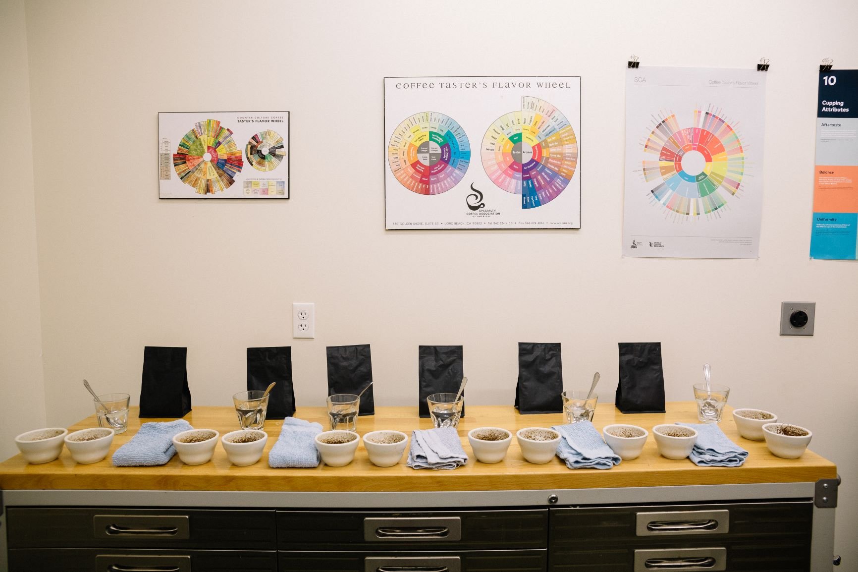 Exploring the Rich Tapestry of Coffee Attributes: Intrinsic and Extrin ...